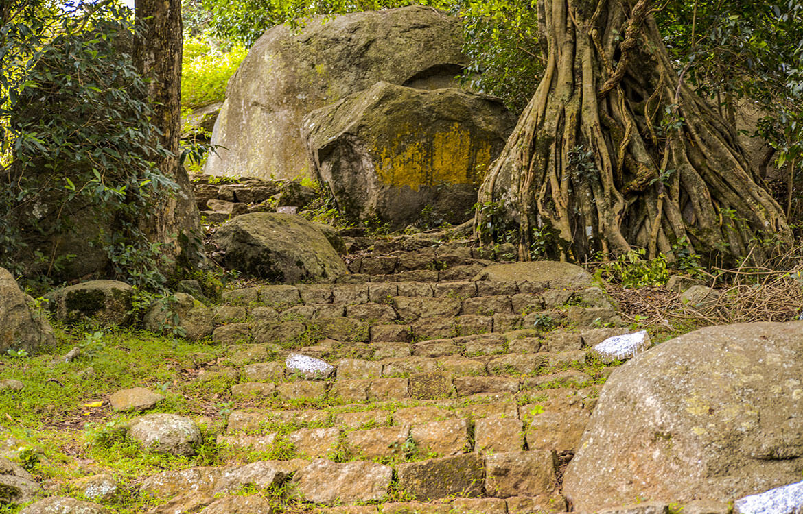 Swamimalai Hills - Trekking in Yelagiri Hills - Mr Avinash Travel Blog