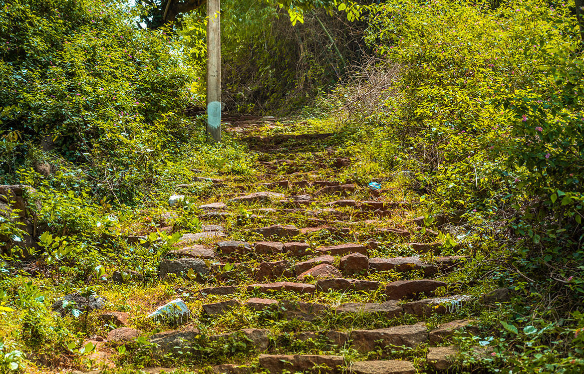 Swamimalai Hills - Trekking in Yelagiri Hills - Mr Avinash Travel Blog